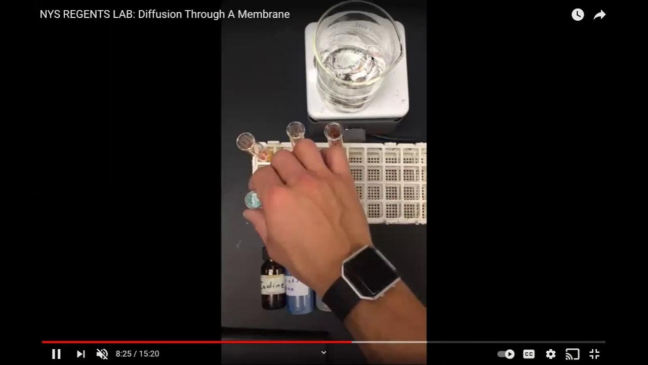 LIVING ENVIRONMENT - NYS Regents - DIFFUSION LAB (ESPAÑOL) - YouTube