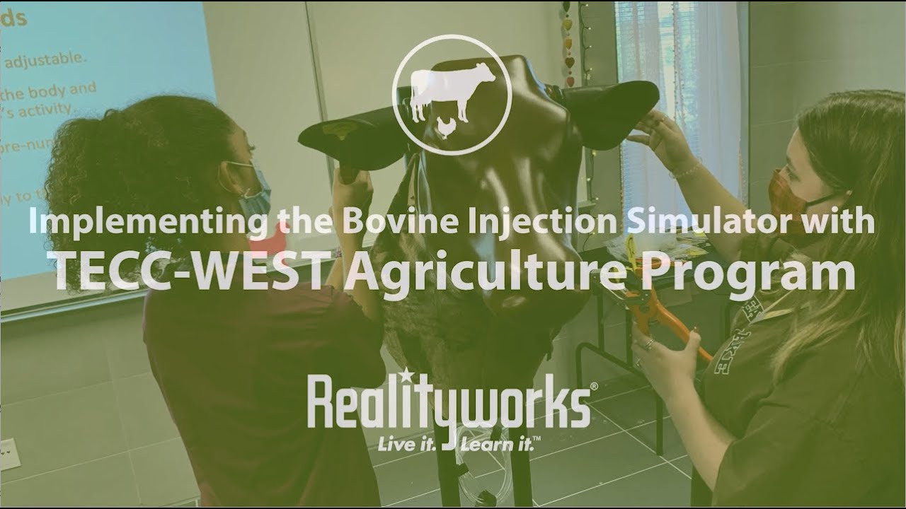 Exploring the Many Uses of the Bovine Injection Simulator with TECC-W - YouTube