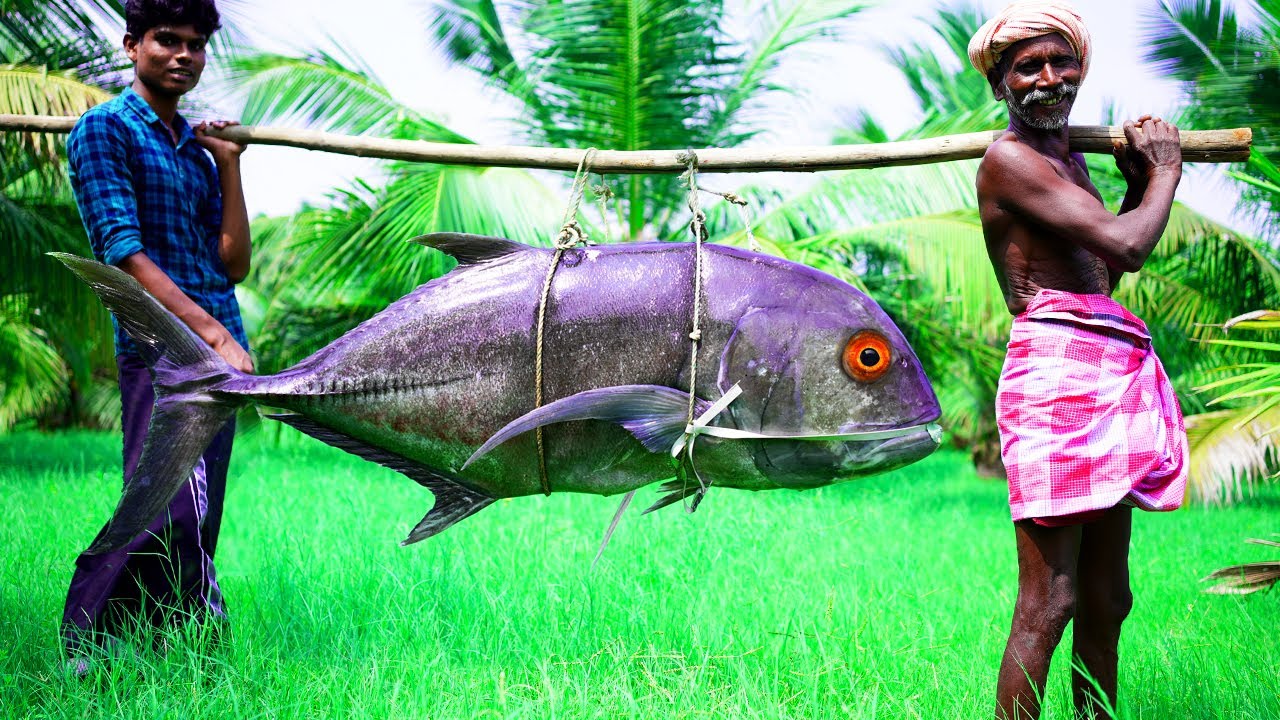 40kg GIANT TREVALLY FISH PEPPER FRY RECIPE | Delicious Big Fish Cooking ...