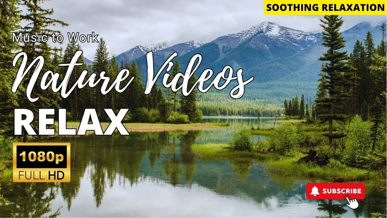 Deep Sleep Nature Forest Music, Study Relaxing Magical Forest Music ...