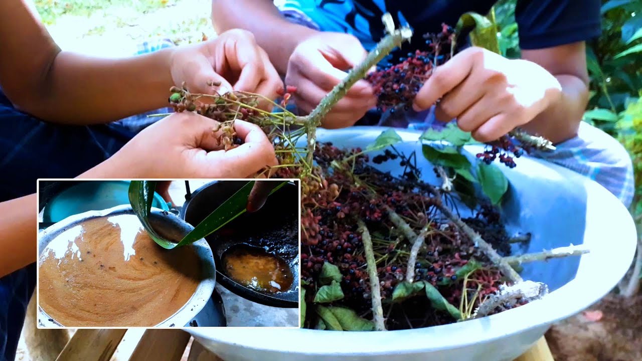 Have You Ever Seen this Ancient Oil Making Process? [বাজনার বীজের তেল ...