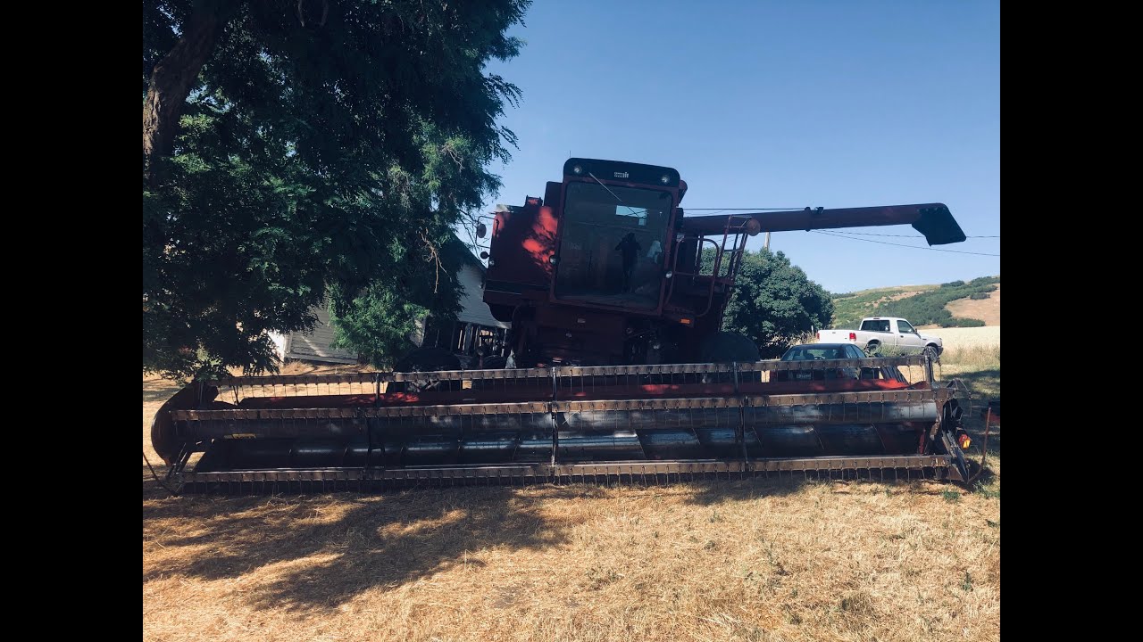 Looking around our 1470 International hillside combine (getting ready ...