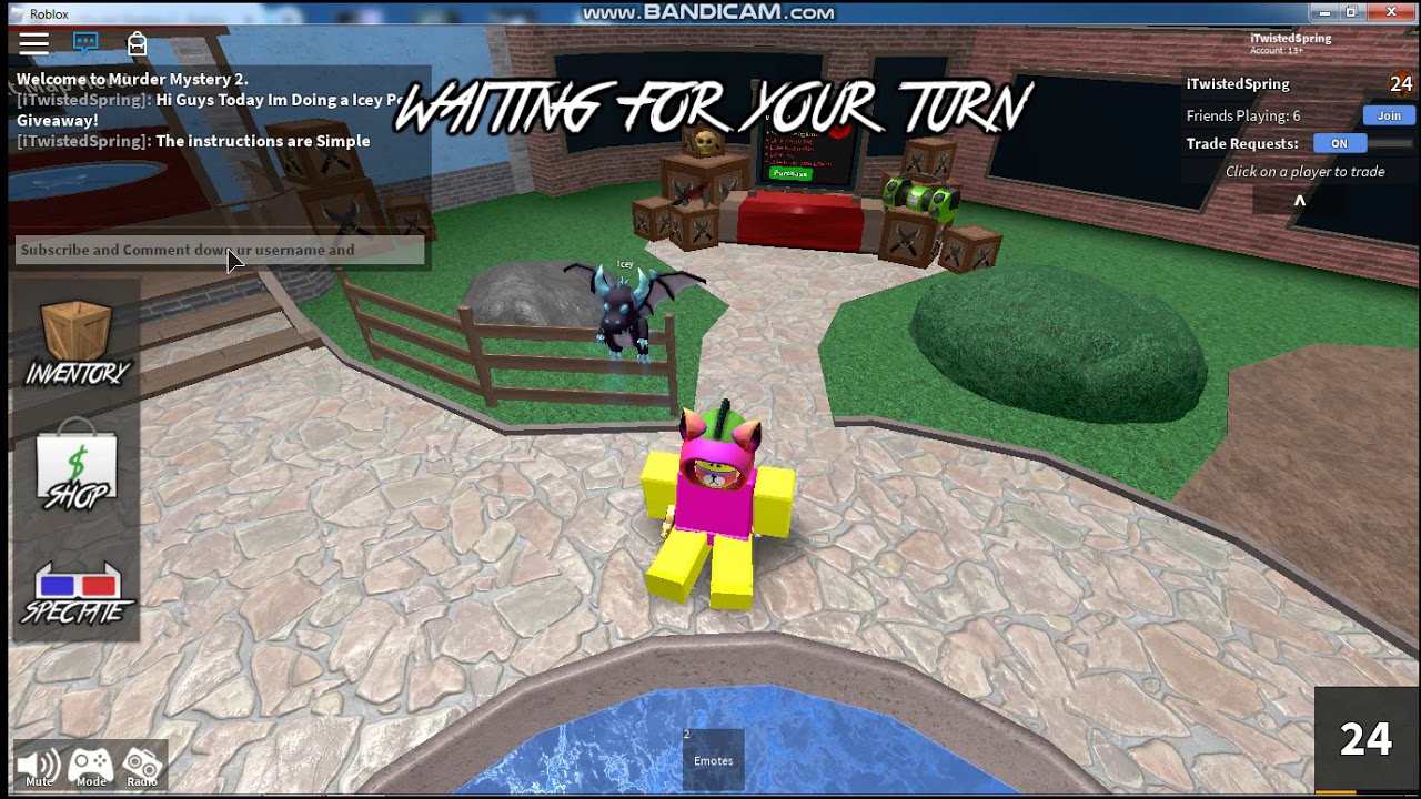 Roblox (Murder Mystery 2 ) Icey Pet Giveaway - YouTube
