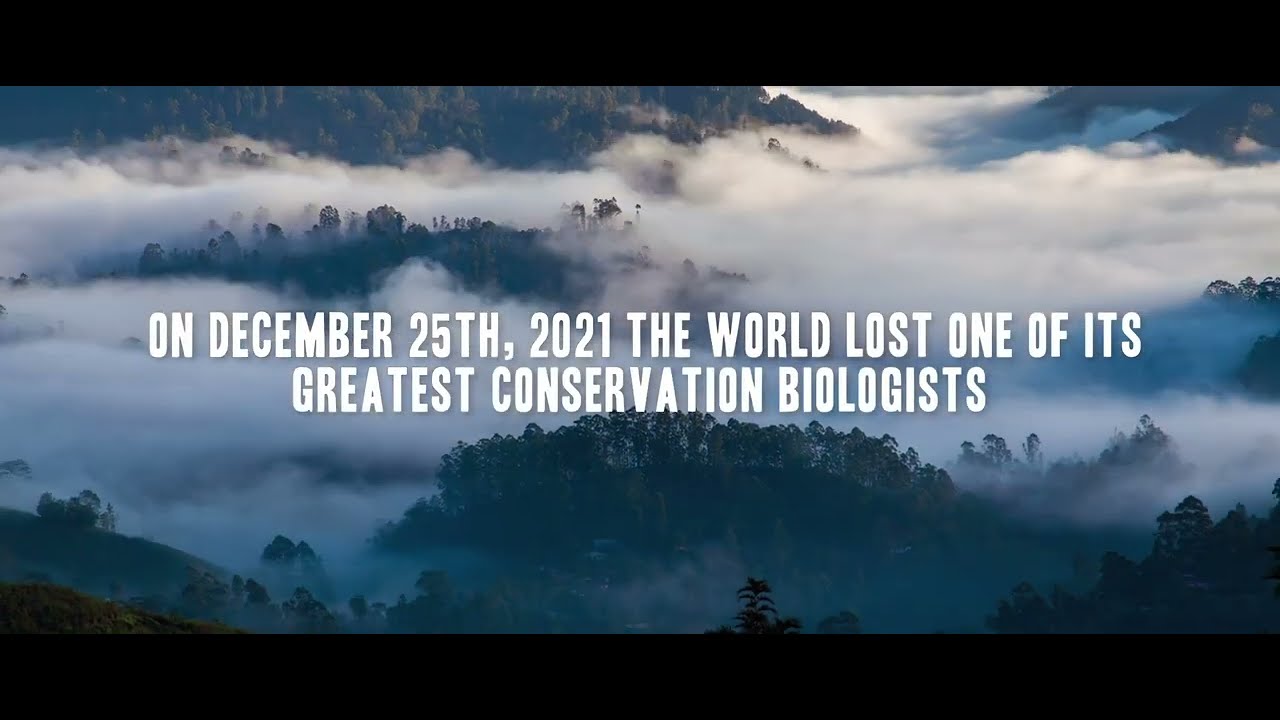 Back To Camp 41 Official Trailer Youtube 7271