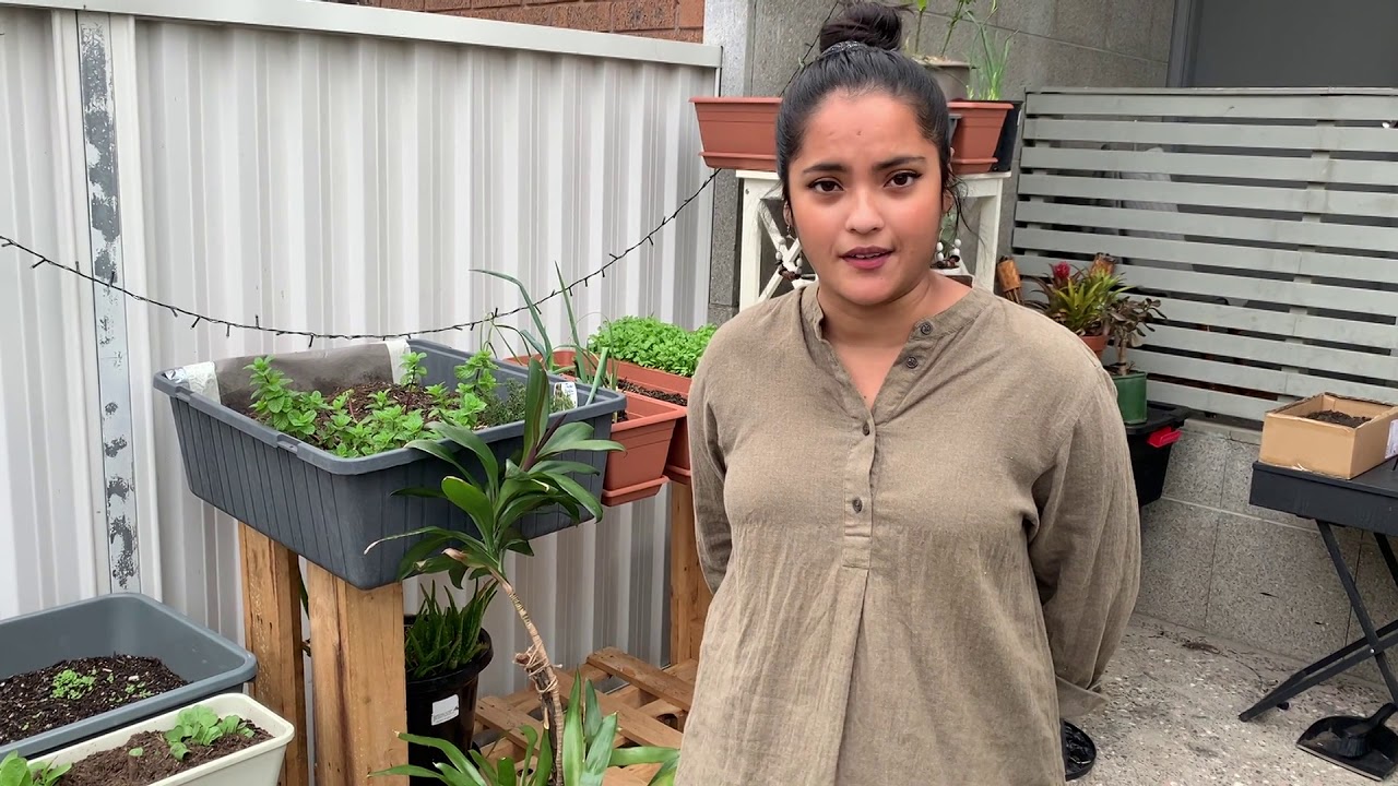 Meet Noor - YouTube