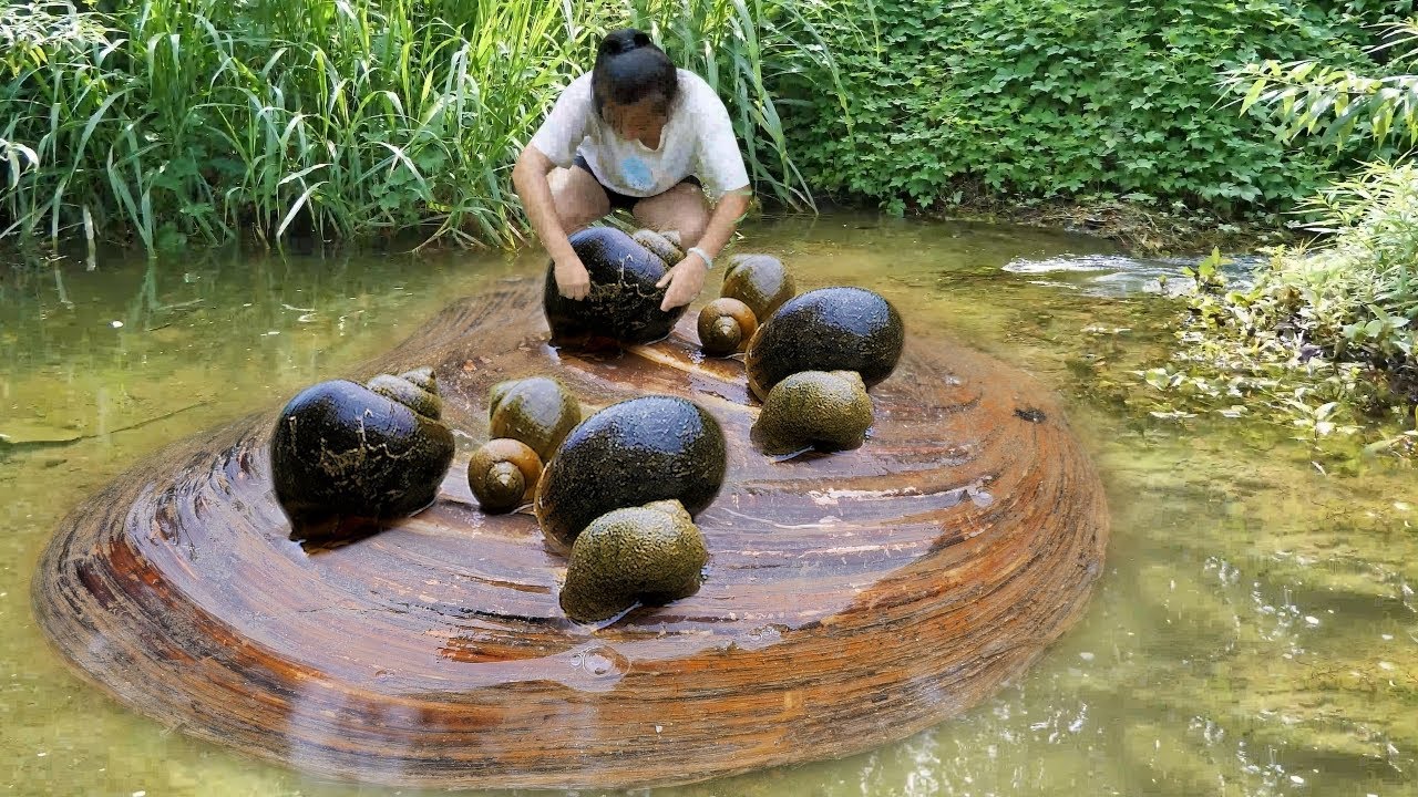 The girl was surprised to find that this beautiful clam was covered in snails and sparkling ...