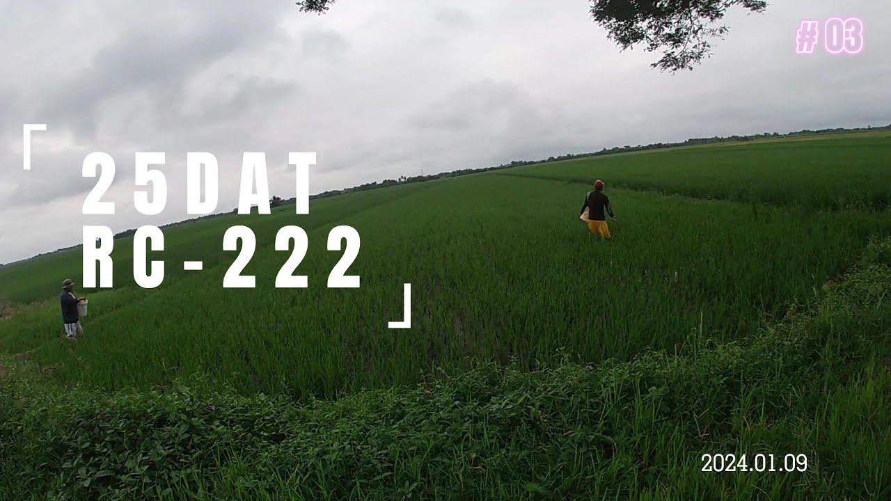 RC-222 (25 DAT, nagpasabog ng 1Bag 14-14-14) - YouTube