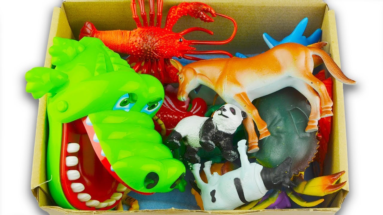 Box of Wild Zoo Animals Sea Animals Learn Animal Names Toys For Kids ...