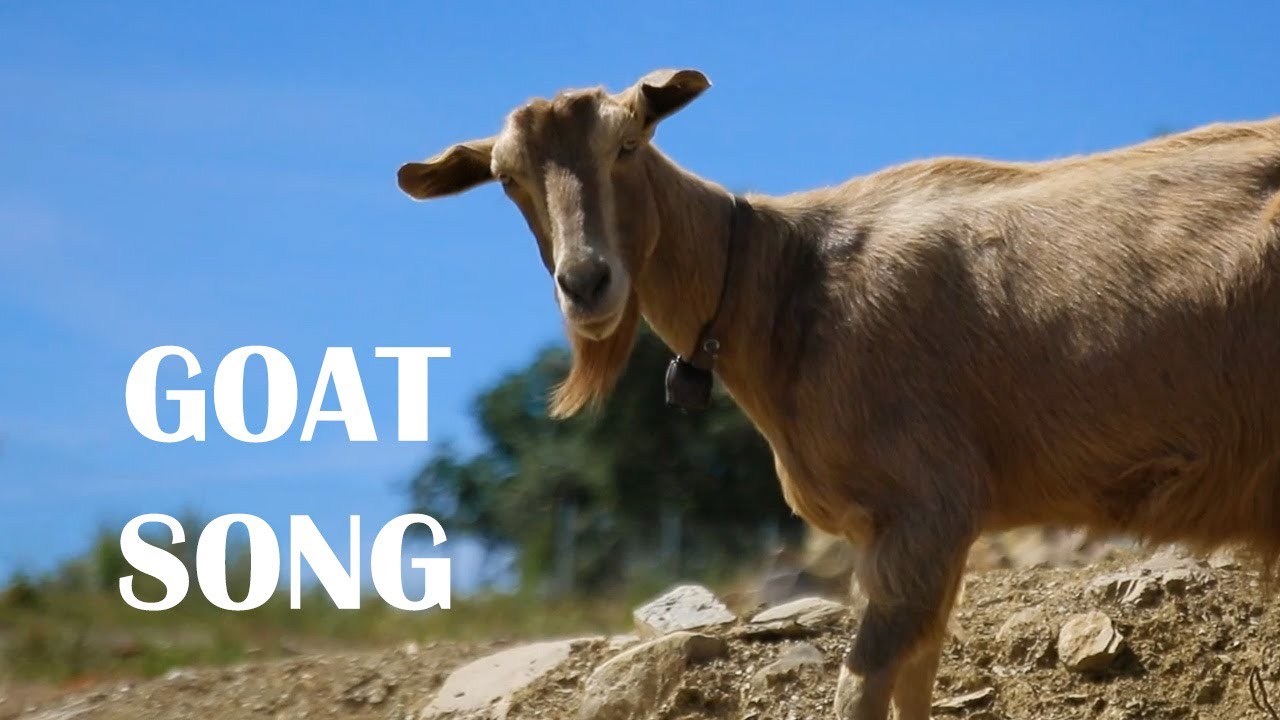Goat Song - YouTube