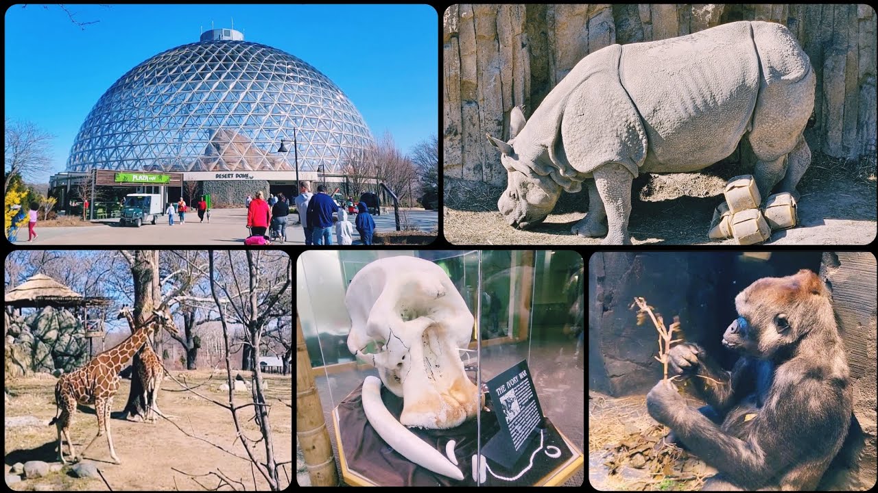Travel: Nebraska Omaha’s Henry Doorly Zoo and Aquarium - YouTube