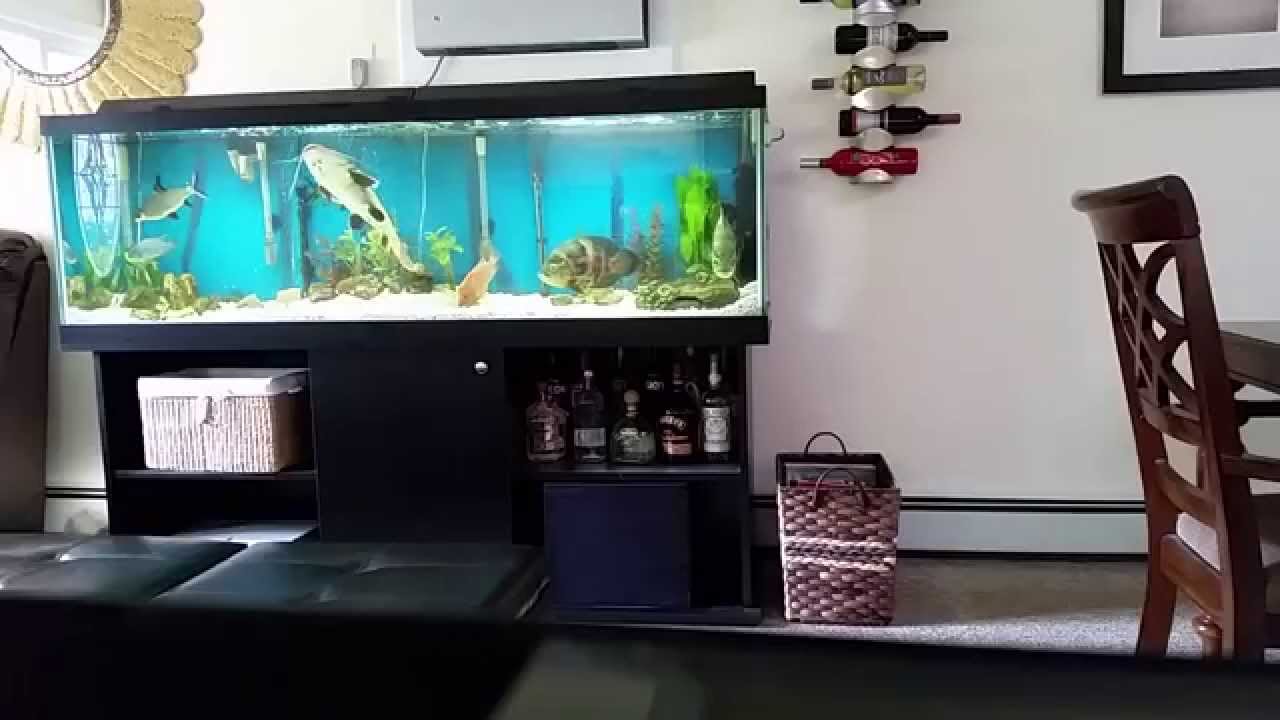 STOP CALLING ME! By FPP Funny Phone Pranks, Phone Taps, Pranks Calls ...