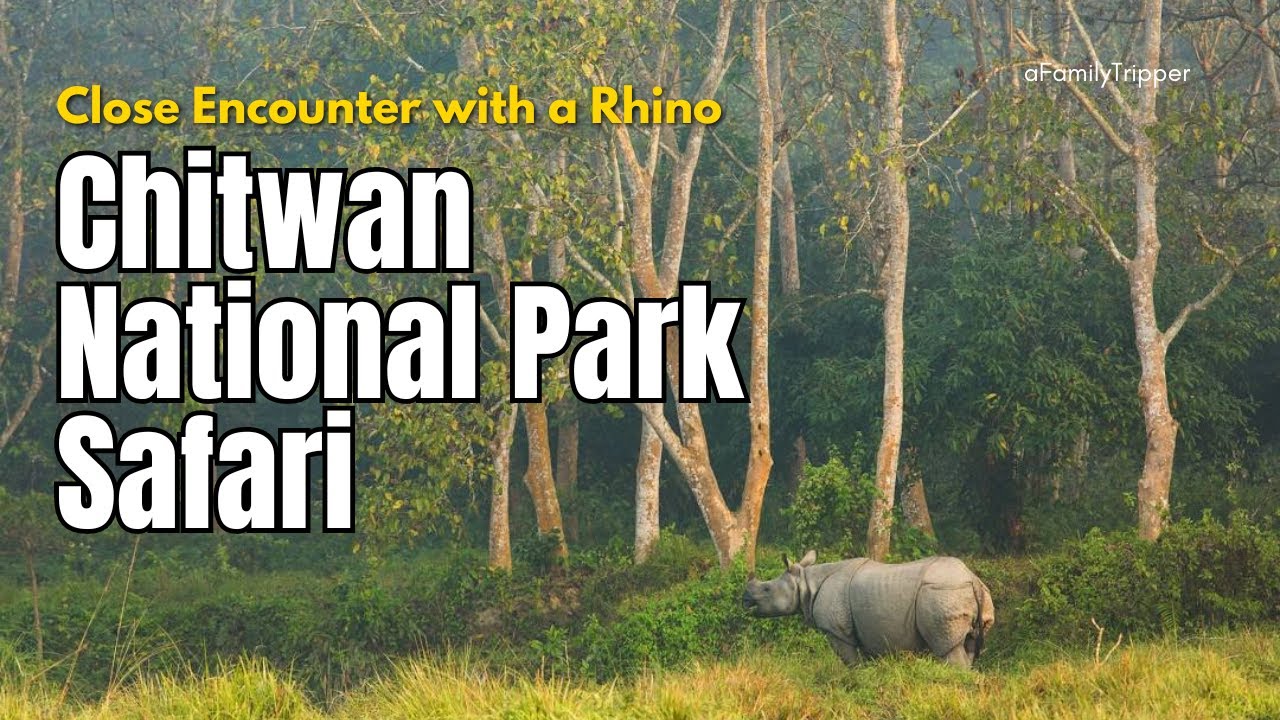 Chitwan National Park Safari, Nepal | Rhino Sighting at Chitwan ...