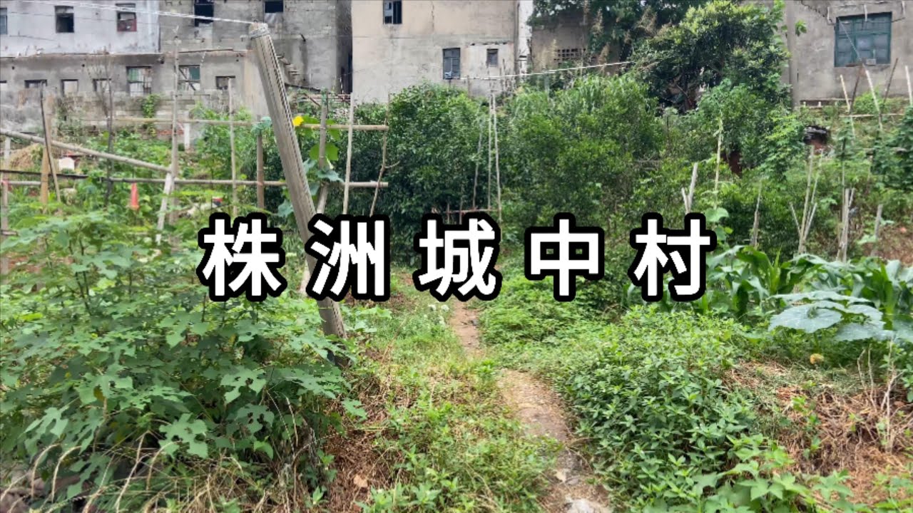 探秘湖南株洲城中村徐家冲 底层人住在废弃的房子里 China Village In City Youtube