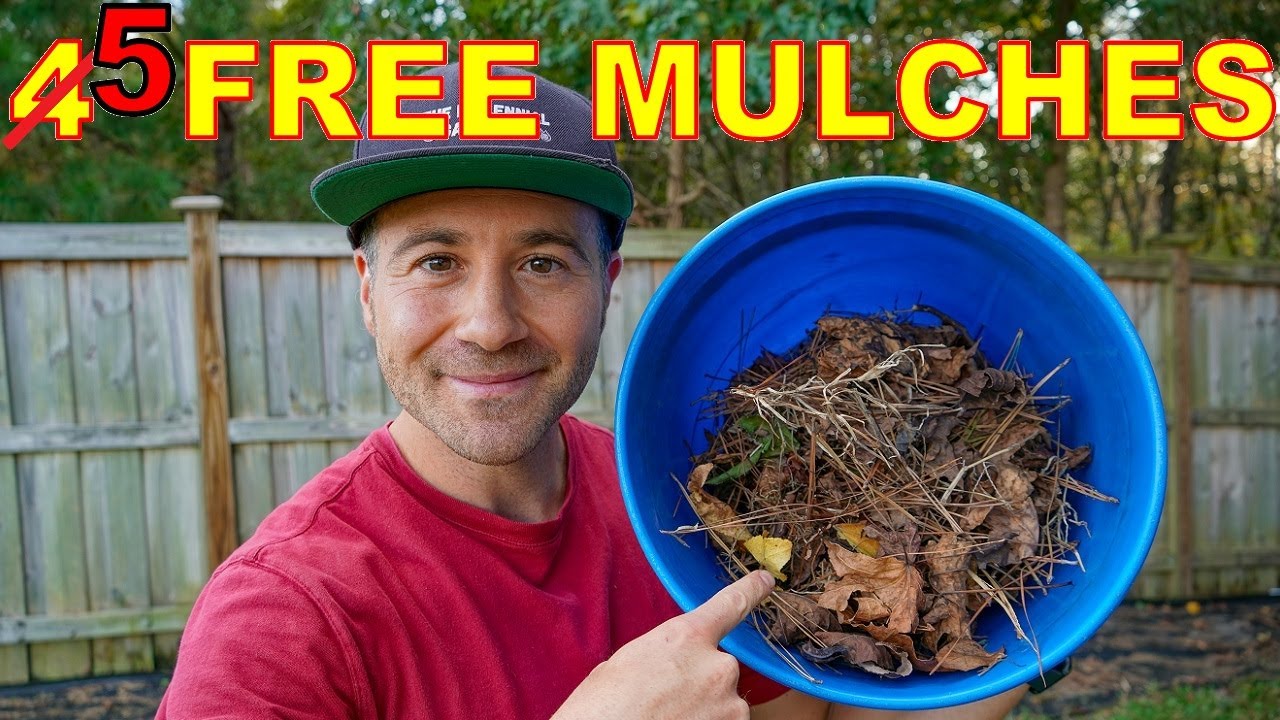 big-box-stores-don-t-want-you-to-know-these-free-mulch-hacks-for-your