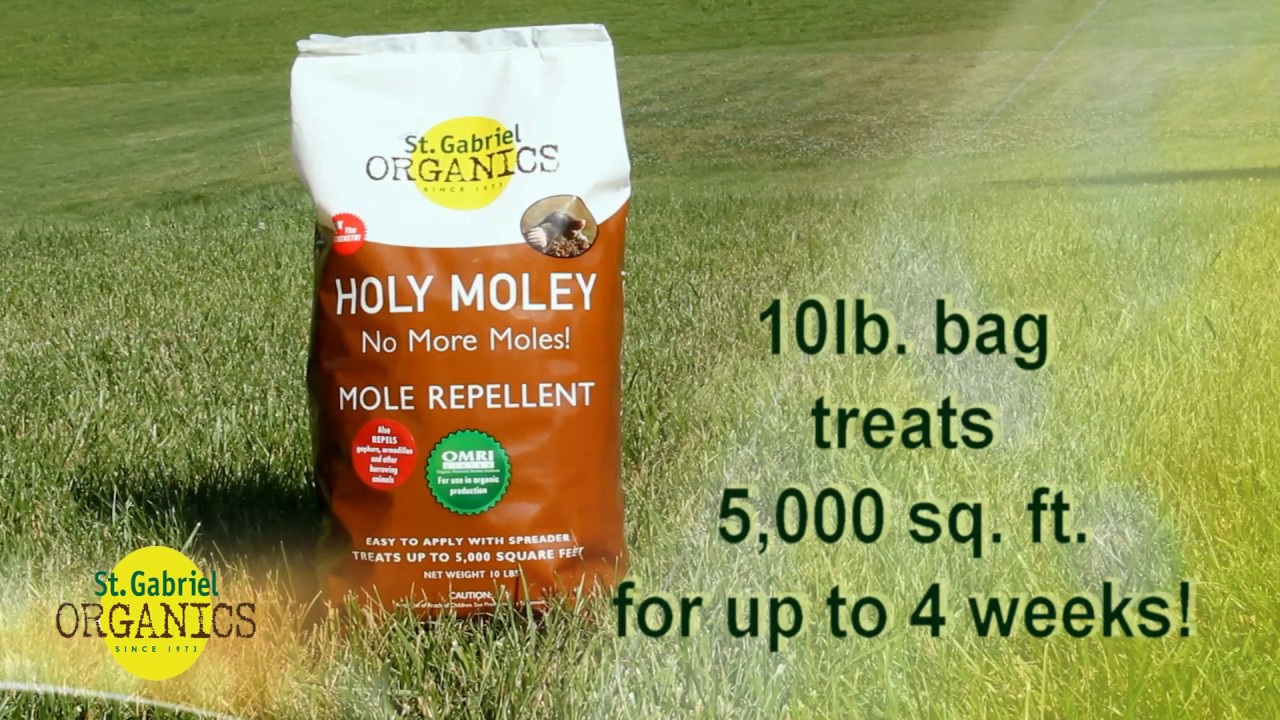 Holy Moley Organic mole and gopher control - YouTube