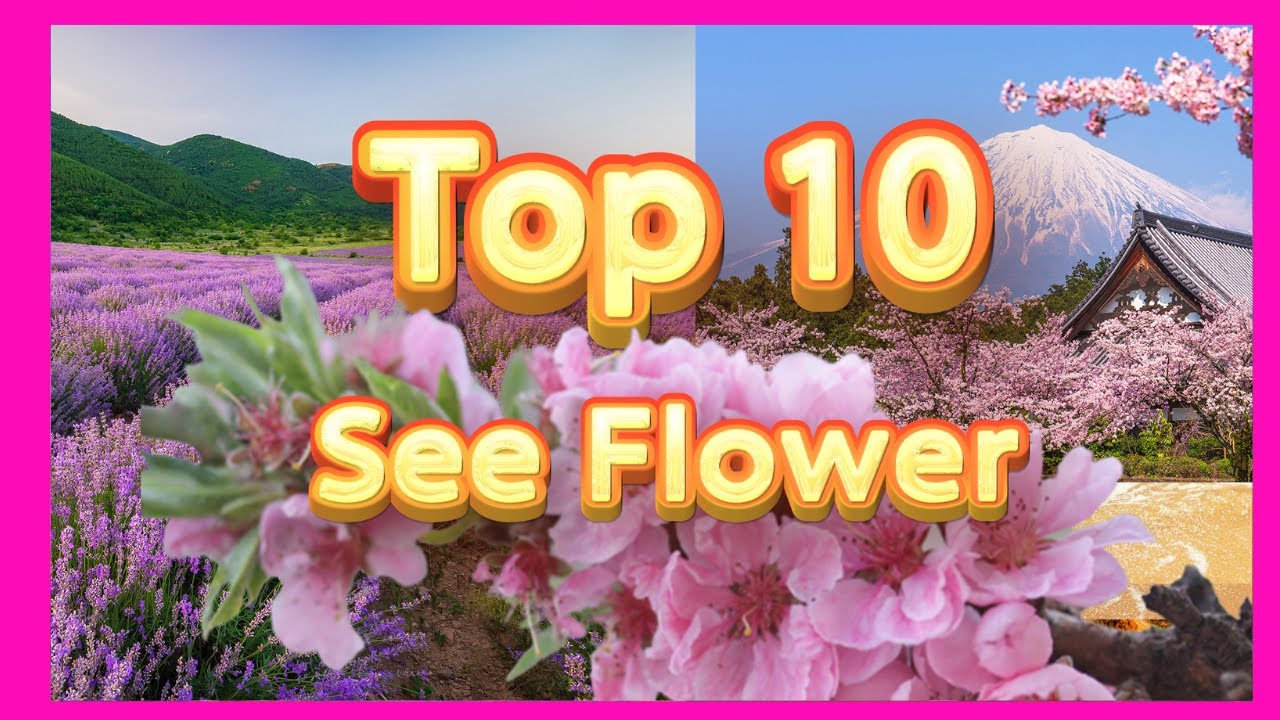 TOP 10 best Place to see beautiful Flowers in the world travel video ...