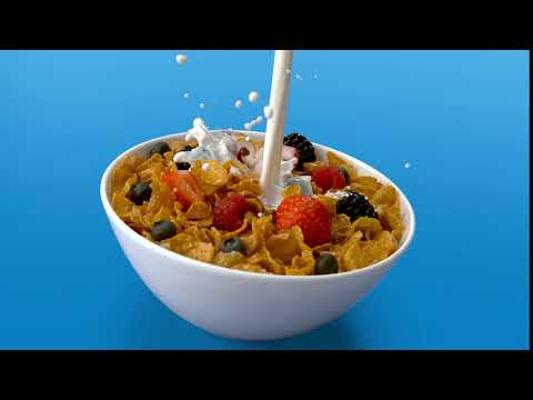 This is Not a Cow, But You Can Make Delicious Milk From It - Koko Original