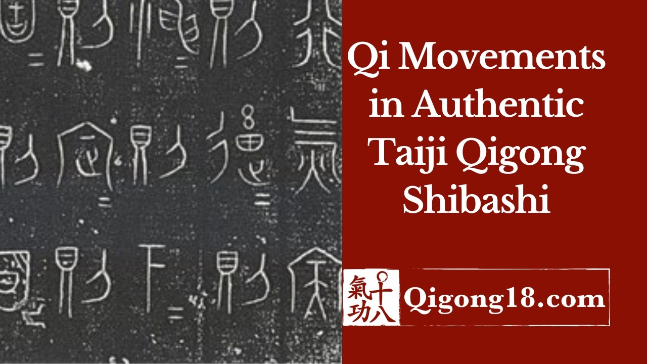 Qigong for beginners: Qi Movements theory and the Authentic Taiji ...