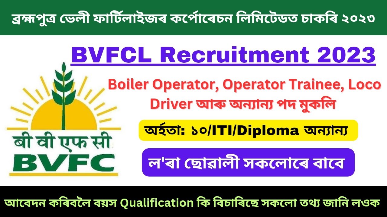 BVFCL Recruitment 2023 // Assam Govt Job 2023 // Today Job News Assam ...