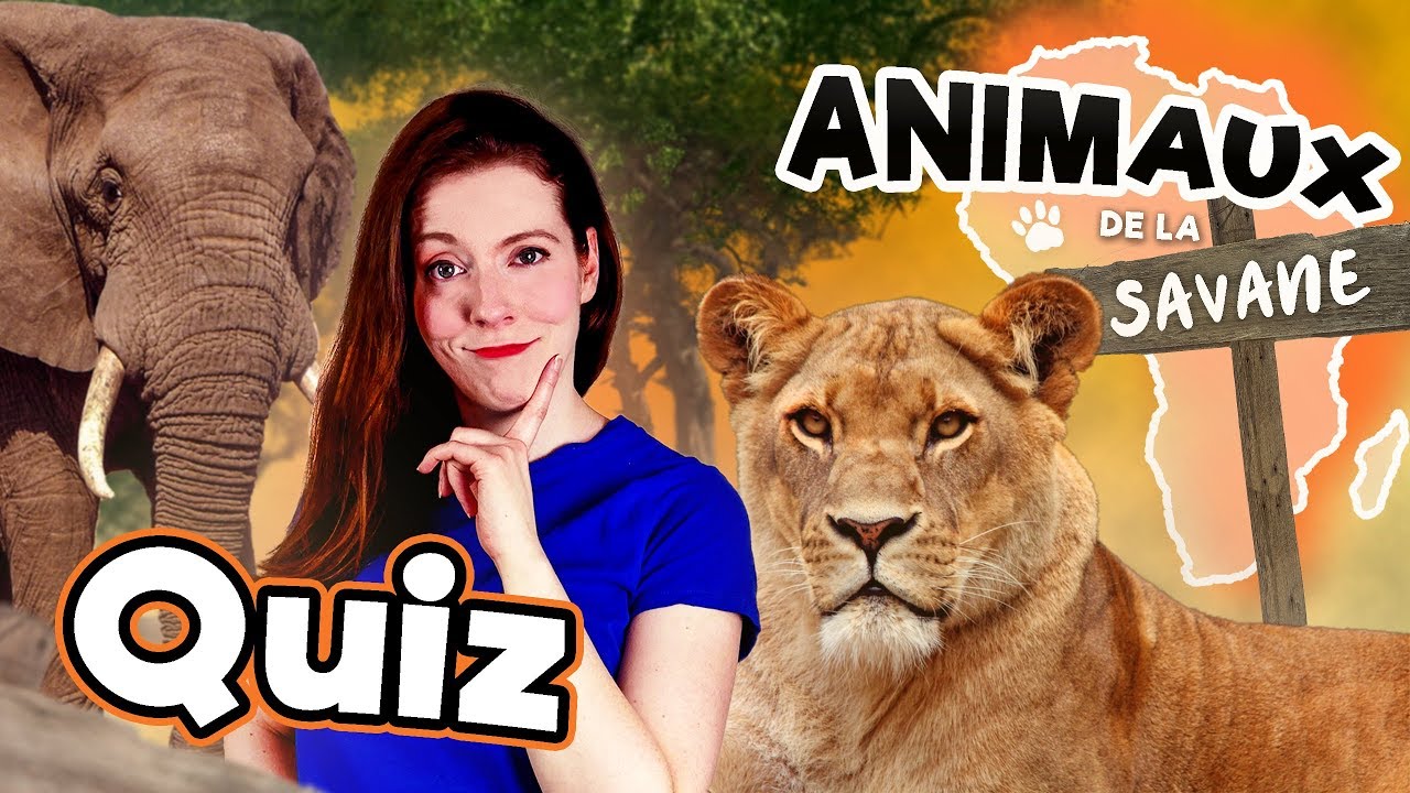🔴ANIMAUX DE LA SAVANE ! QUIZ EN DIRECT - YouTube