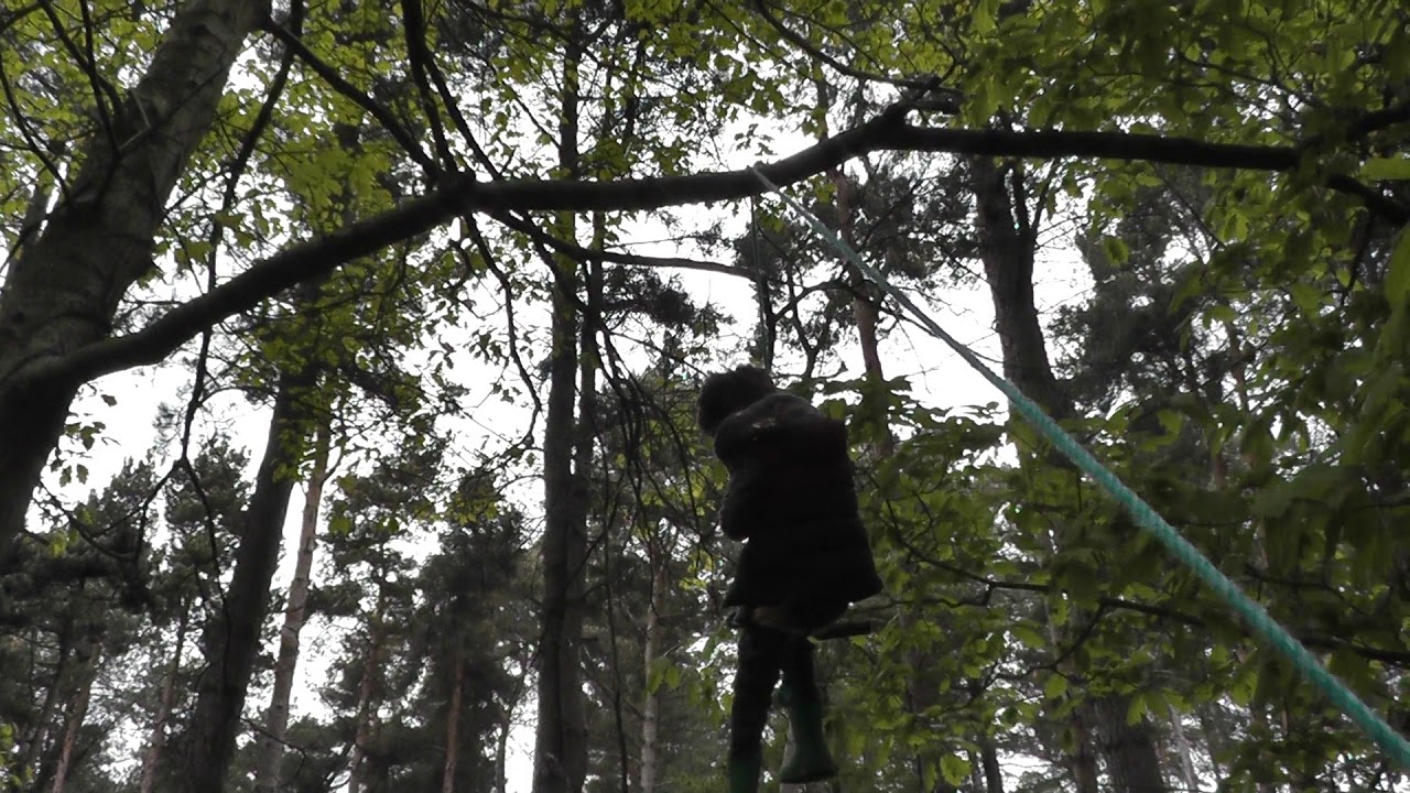 Tree hoist - YouTube