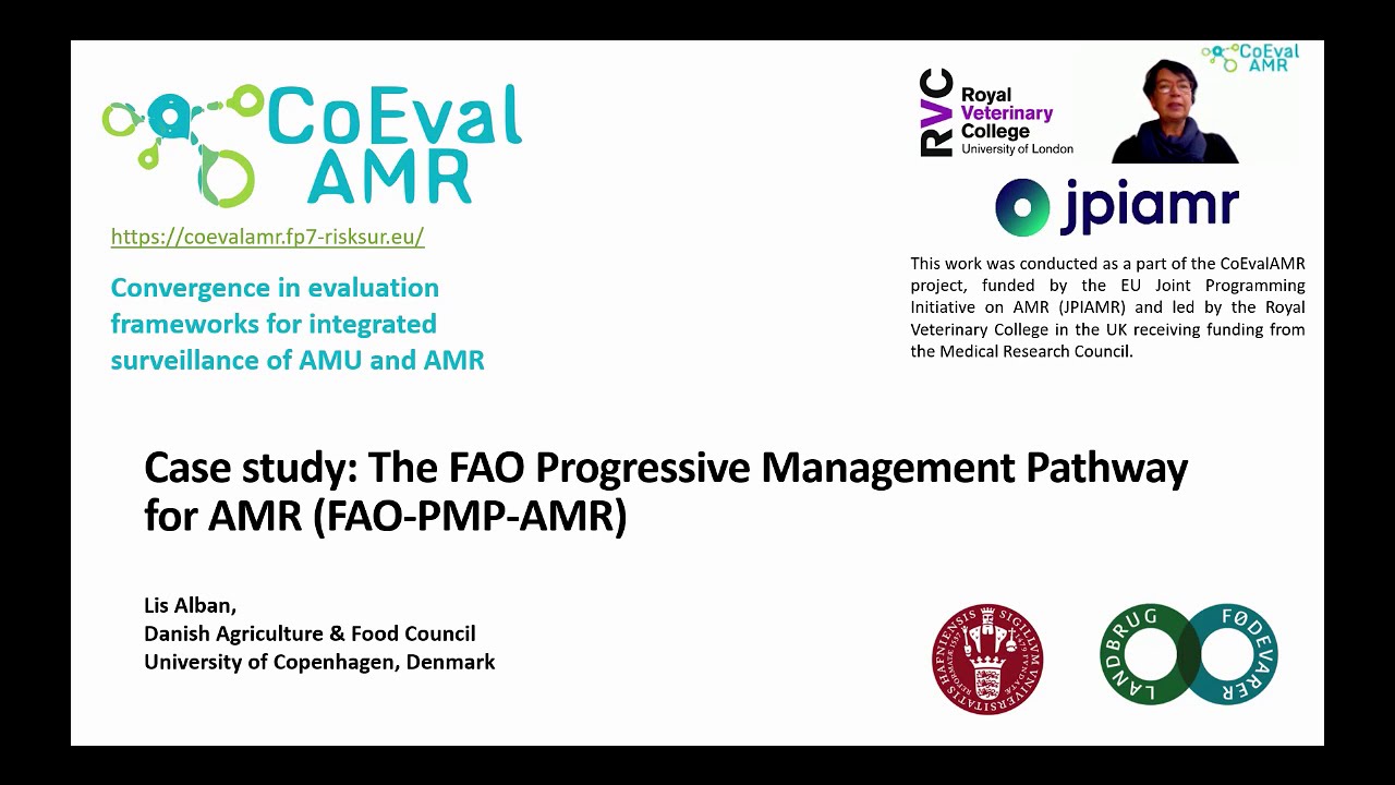 Case study: FAO Progressive Management Pathway for AMR (FAO-PMP-AMR ...