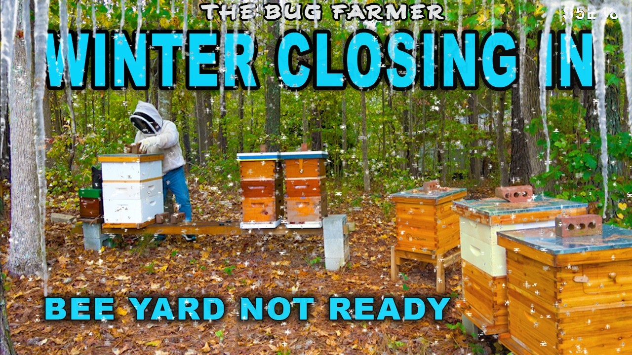 BEE SEASON ENDING | Putting the bees to bed for the winter. Final ...