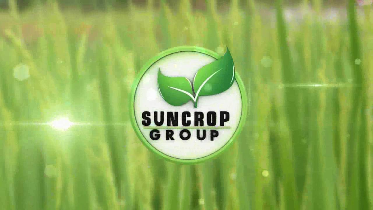 Diamond Hybrid Rice Seed TVC 2015 Suncrop Group. A premium high quality ...