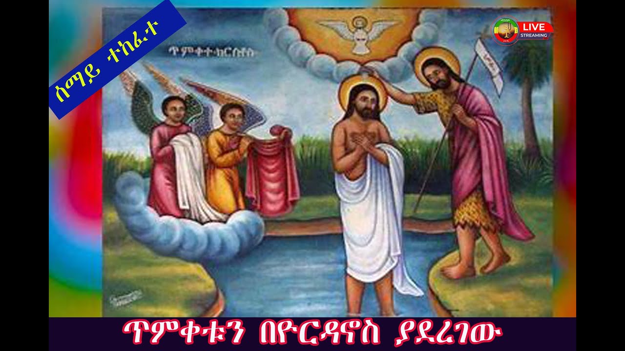 mahtem tube ማኅተም ቲዩብ's broadcast - YouTube