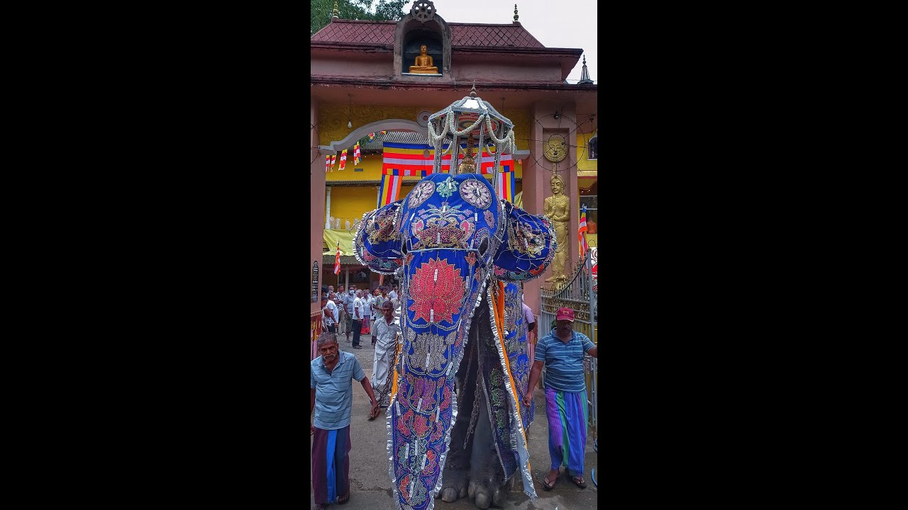 36th Mihindu Perahera at Thalduwa Sri Bodhirajarama Ancient Temple ...