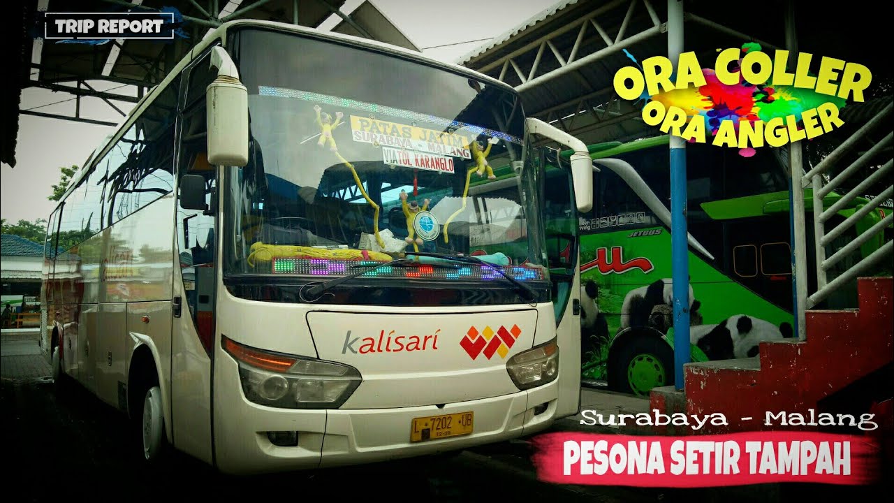TRIP REPORT PO. KALISARI || SURABAYA - MALANG || PESONA SETIR TAMPAH ...