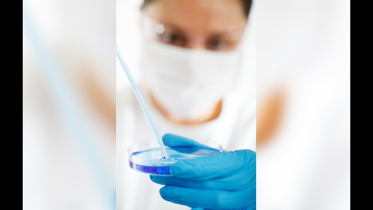 KTF News - Scientists Create Early Embryos That Are Part Human, Part ...