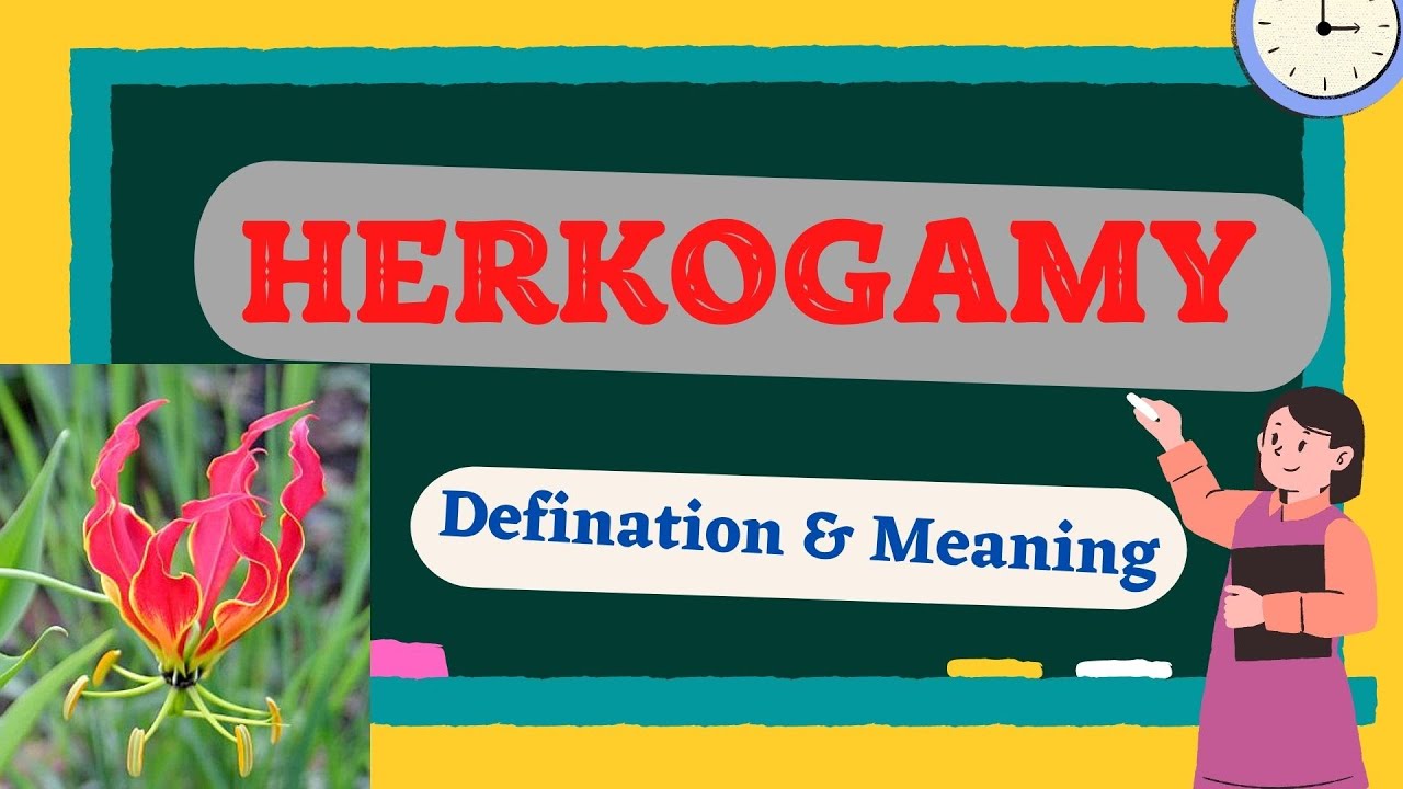 Herkogamy क्या है? I What is Herkogamy? (हिंदी में) - YouTube