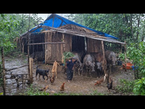 Traditional Nepali Mountain Village Life During Heavy Rain | Rural Nepal Documentary Video |