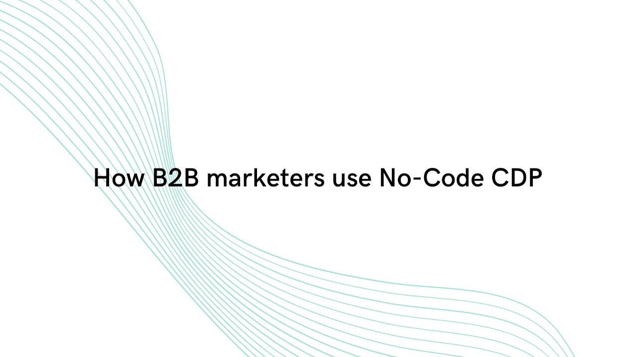 CDP for B2B Marketers - YouTube