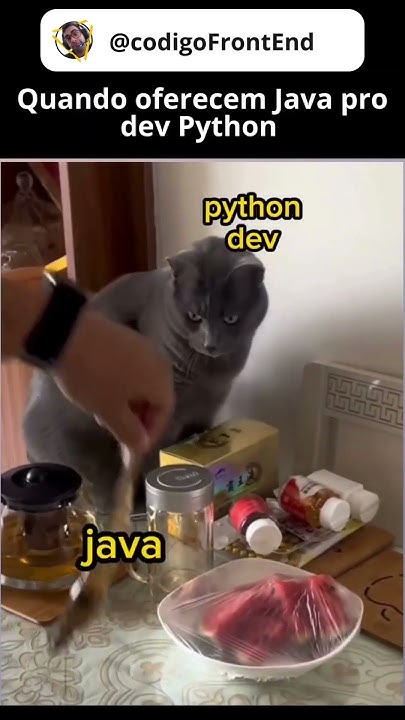 Memescript Usuário Testando O Novo Ux Programação Javascript Memes Desenvolvedor Humor Cod