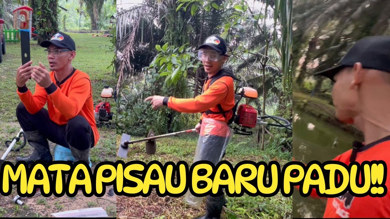 baru best menebas pakai mata pisau😁 kolam baru bertambah seri!! - YouTube