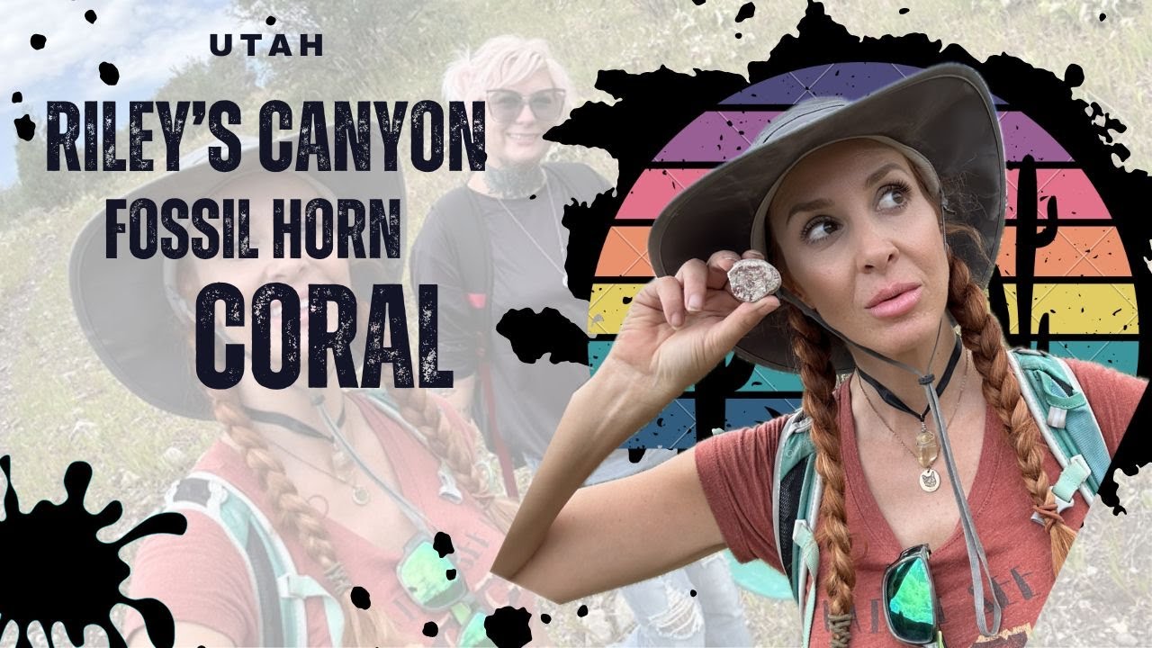 Geologist FINDS RAREST RED HORN CORAL Riley's Canyon RED Horn Coral - YouTube