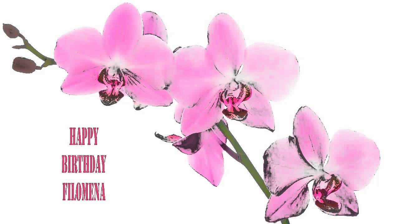 Filomena Flowers & Flores - Happy Birthday - YouTube