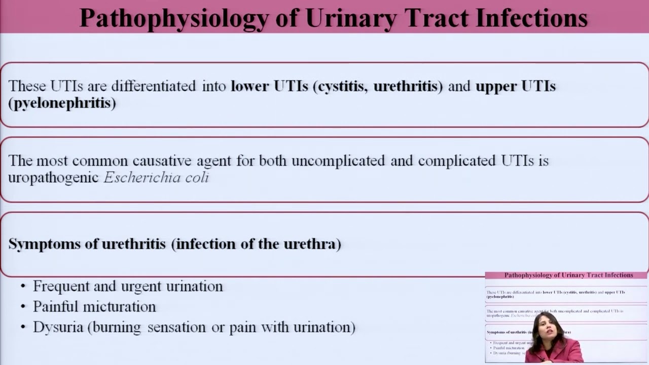 Urinary Tract Infection Pathophysiology Urinary Tract Infection