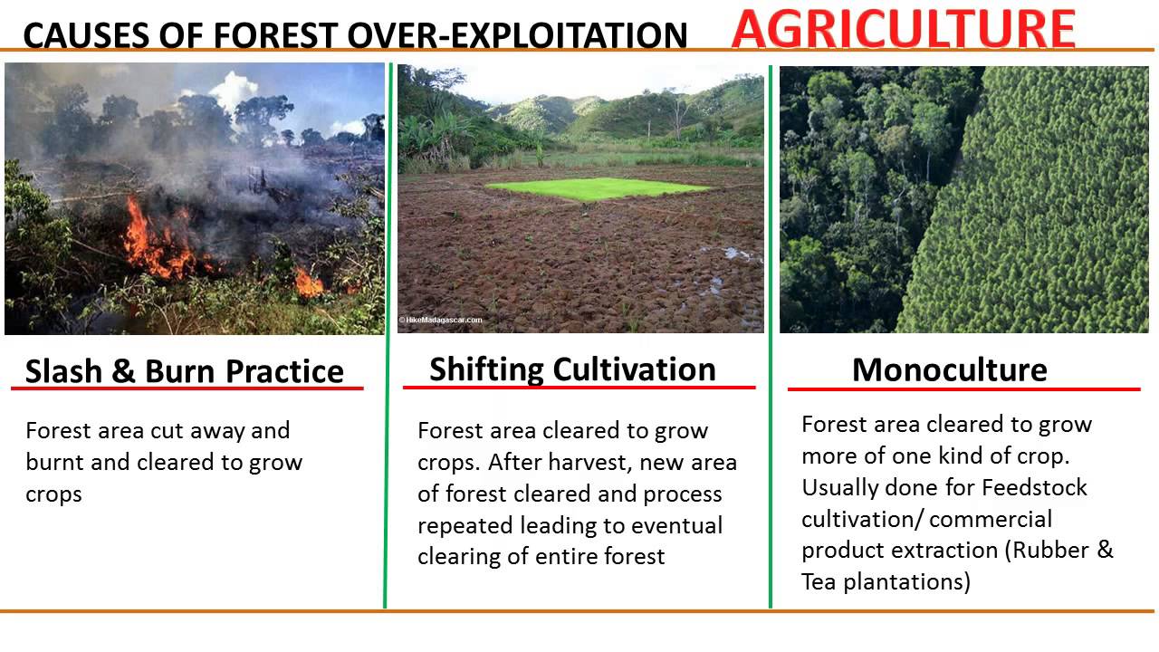 Natural Resources Forest for Environmental Science & Engineering ...