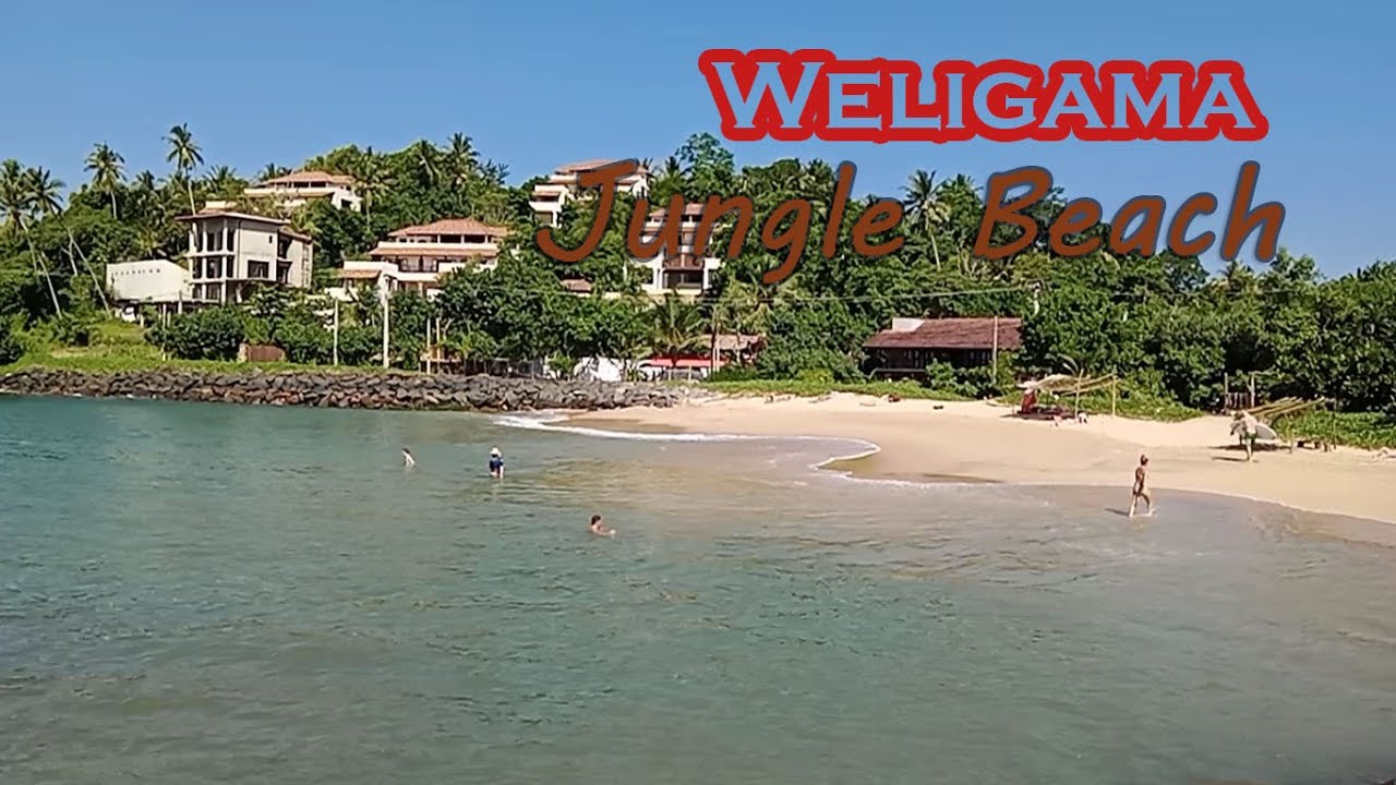 Weligama Jungle Beach | Weligama Bay Surfing - YouTube