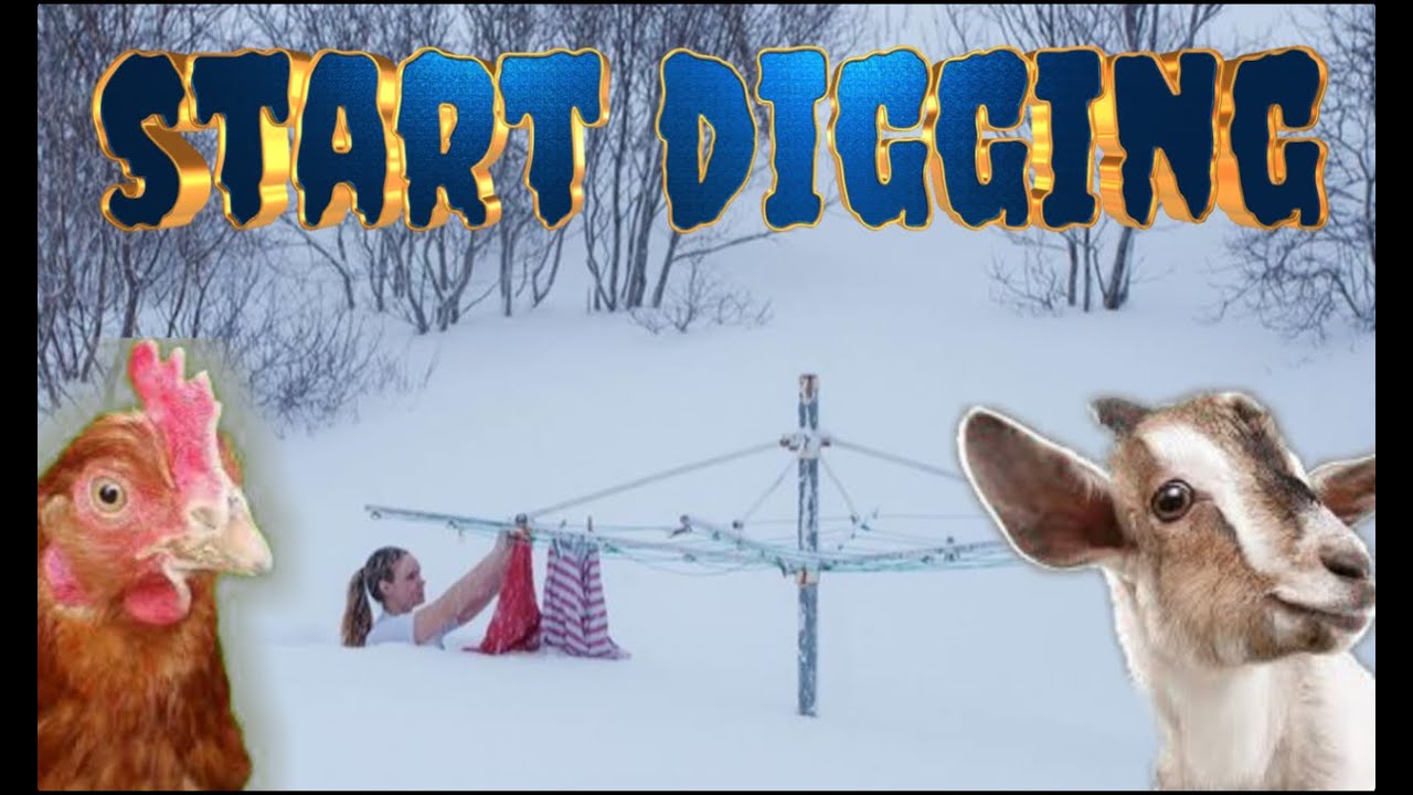 Blizzard ( Goats & Chickens No Where To Be Found Outside ) - YouTube