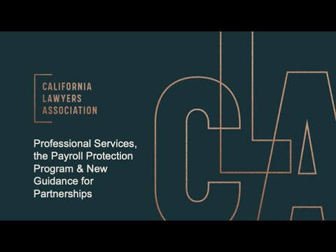 Professional Services, the Payroll Protection Program & New Guidance ...