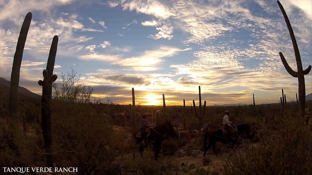Tanque Verde Ranch Sunset Horseback Ride - YouTube