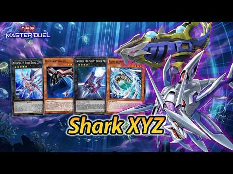 Shark XYZ Deck Master Duel | New Veiss Shark Update Best Water XYZ OTK Deck Ranked Gameplay