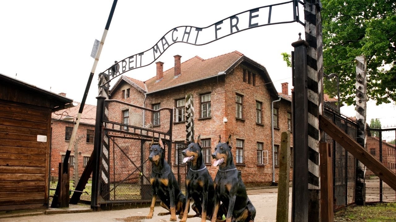 the meanest guard dogs are generally found... - YouTube