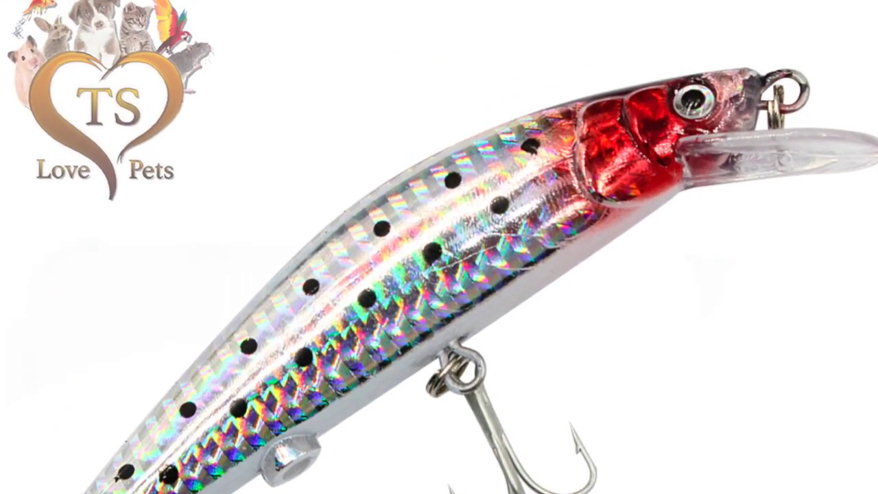 Led Twitching Fish Lure - USB Rechargeable - YouTube