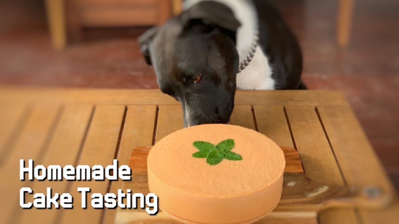 [Food Tasting] 8 Dogs Cake Eating Style - YouTube