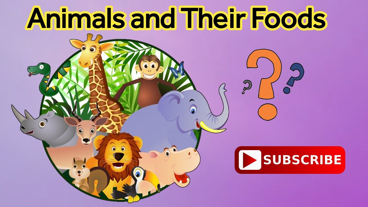 Animals and their foods - YouTube